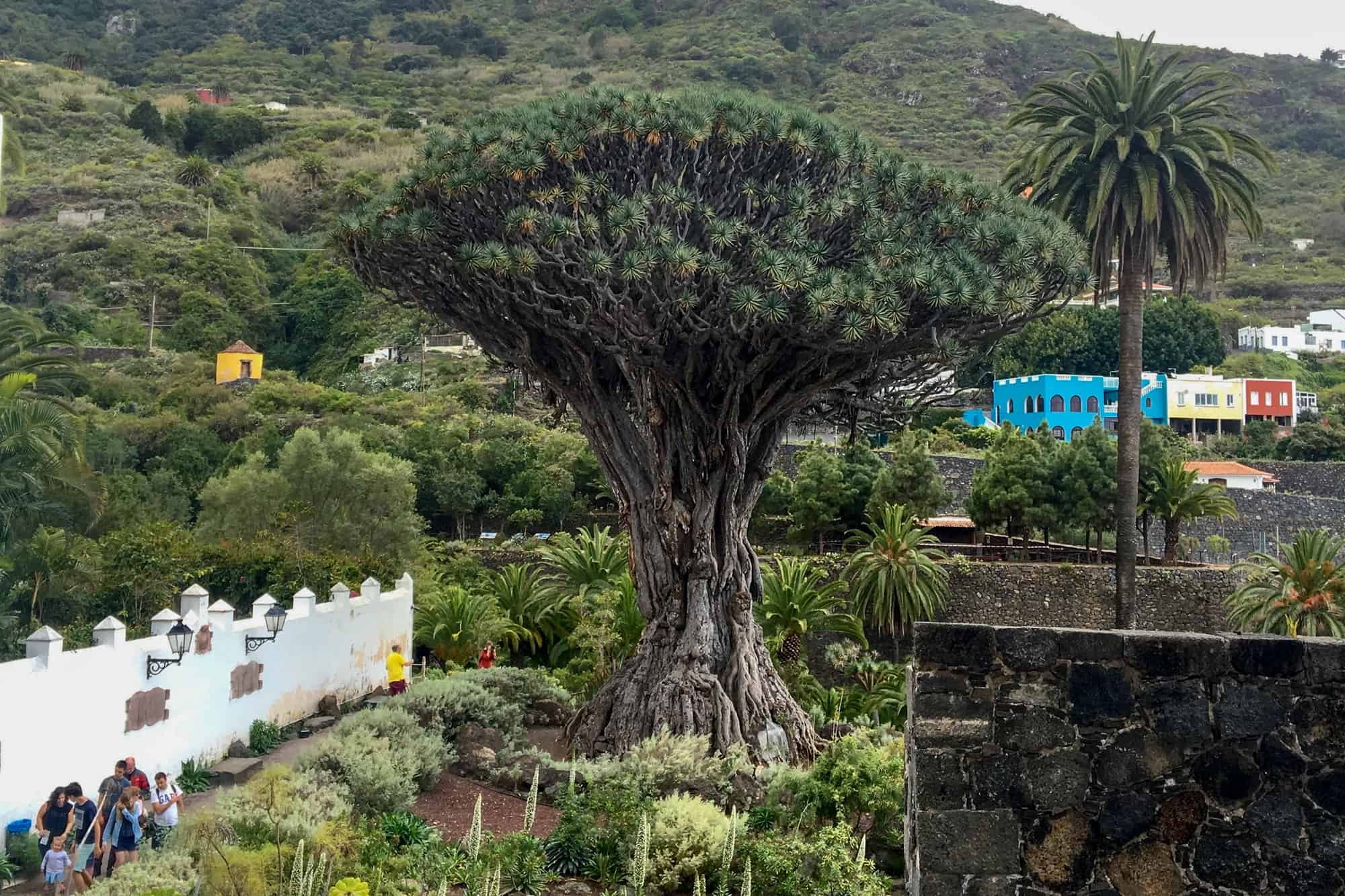 Backpacking Tenerife, Spain – Budget Travel Guide