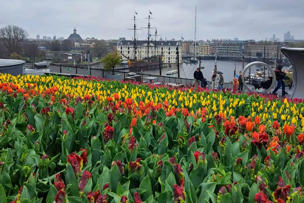 Amsterdam, Netherlands – Backpacking Guide