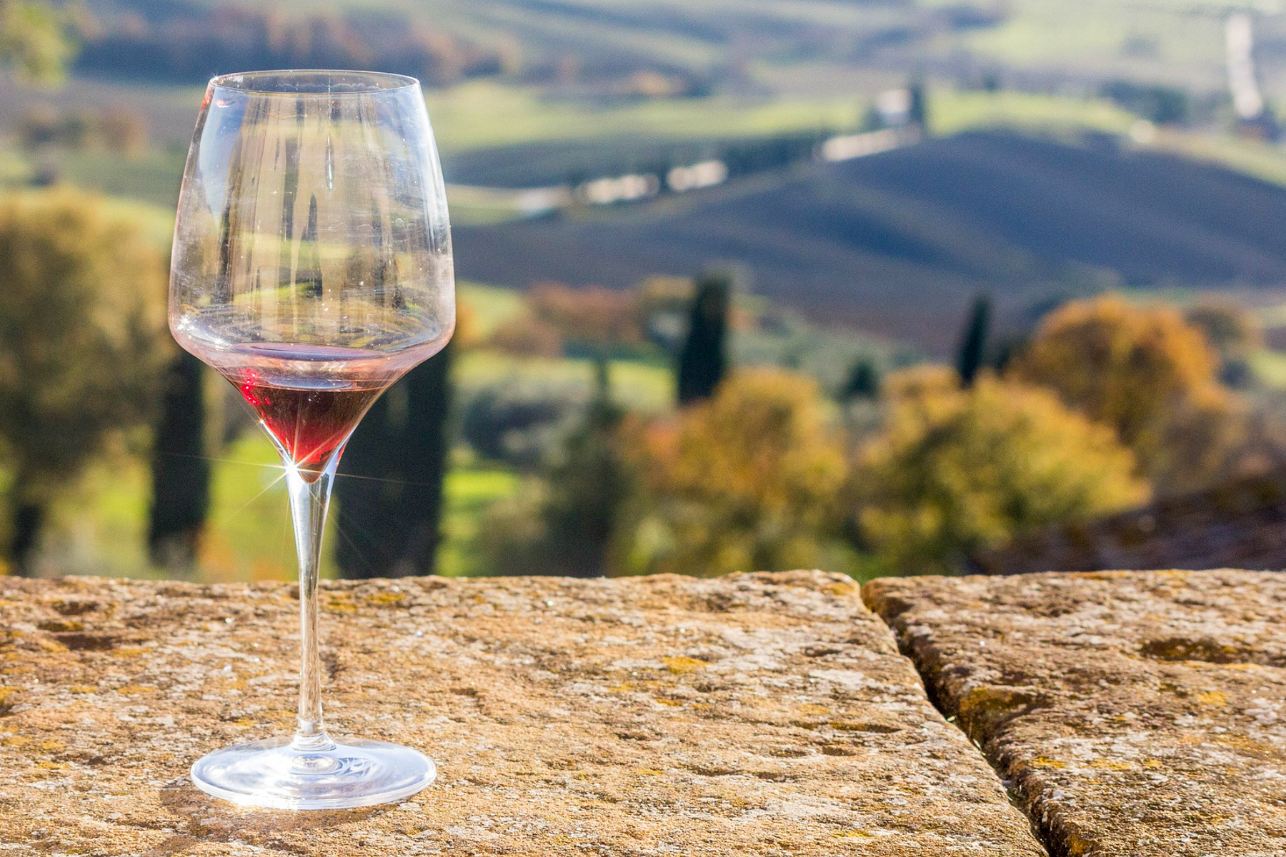 Amazing Wine Destinations in Europe